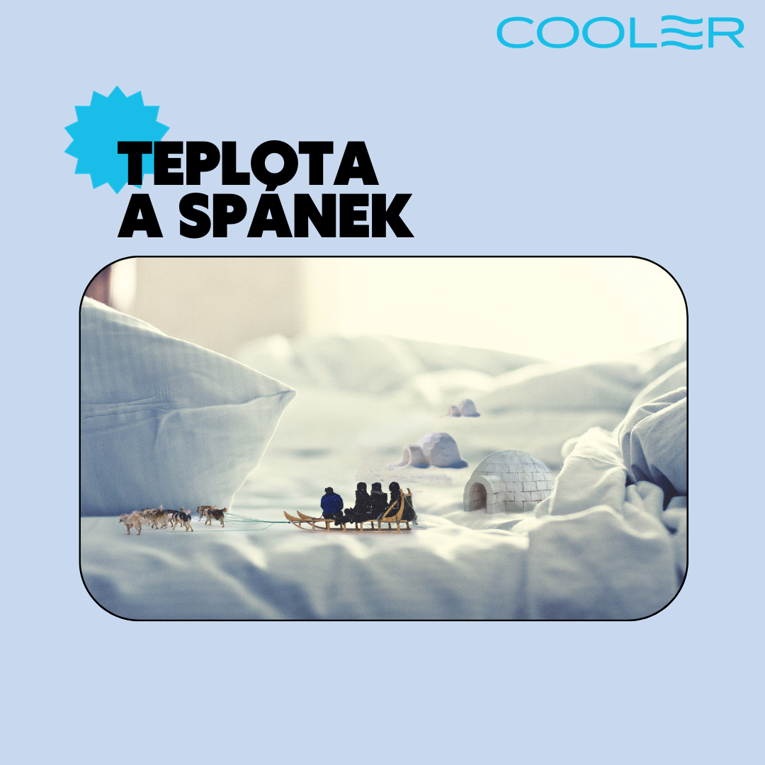 Sleep and Temperature